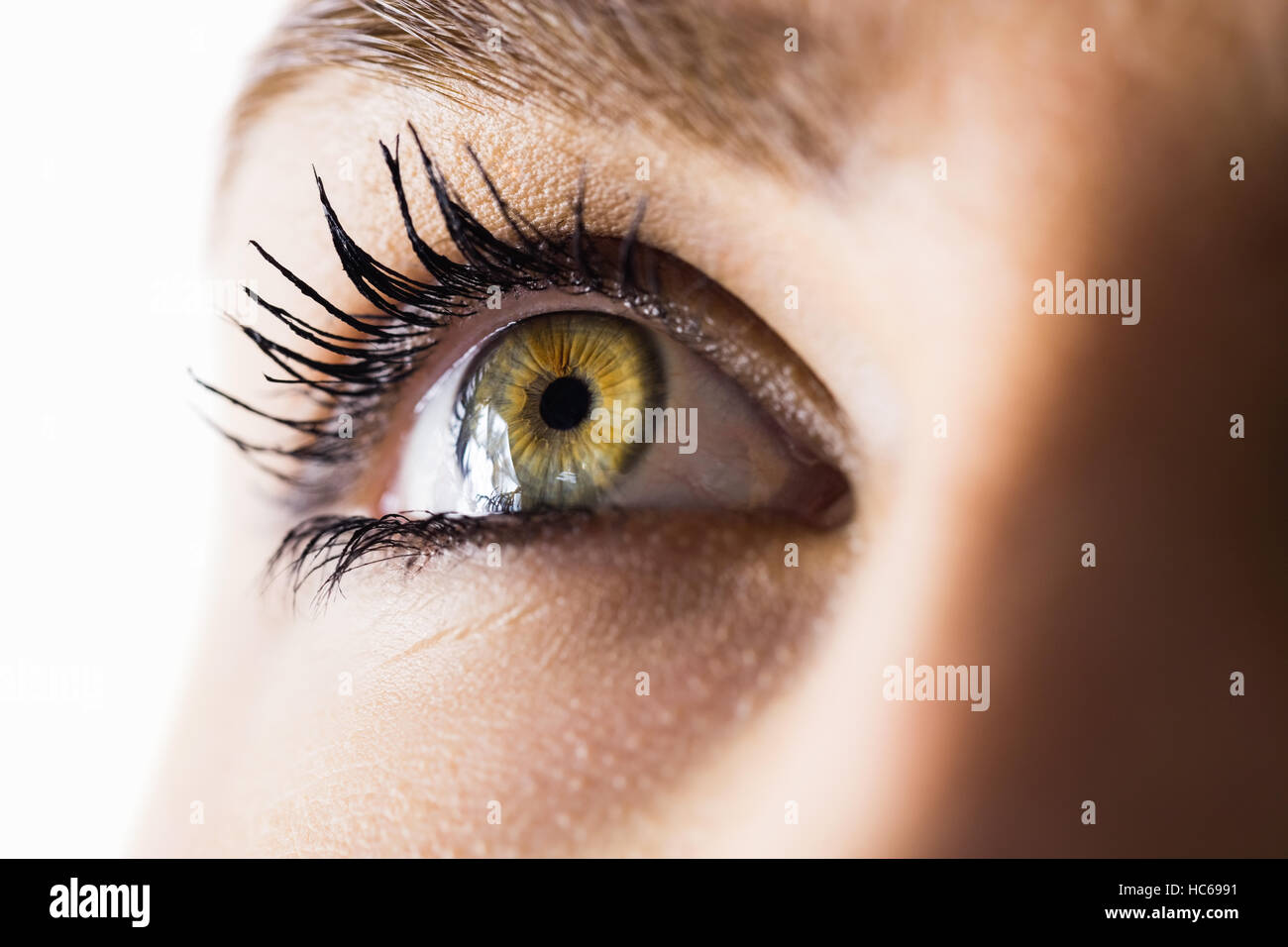 Beautiful woman eye against white background Stock Photo - Alamy