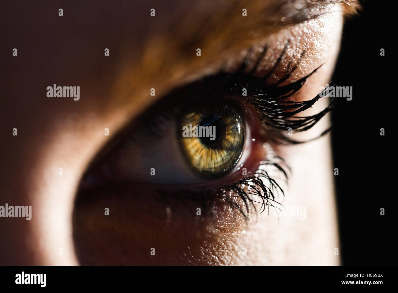 Beautiful woman eye against white background Stock Photo - Alamy