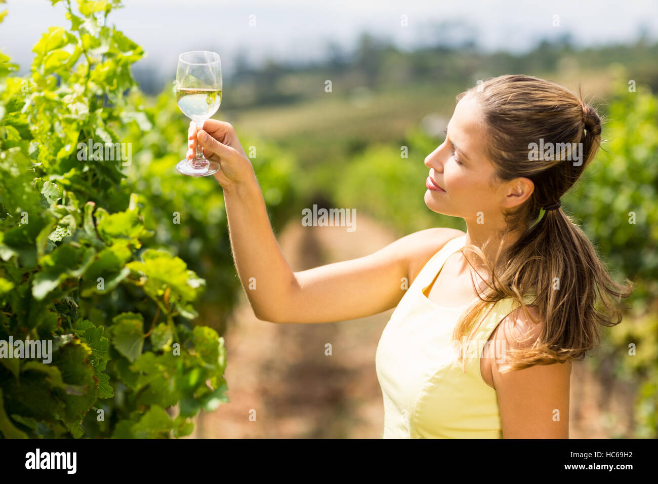 Female vintner holding wine glass Stock Photo - Alamy