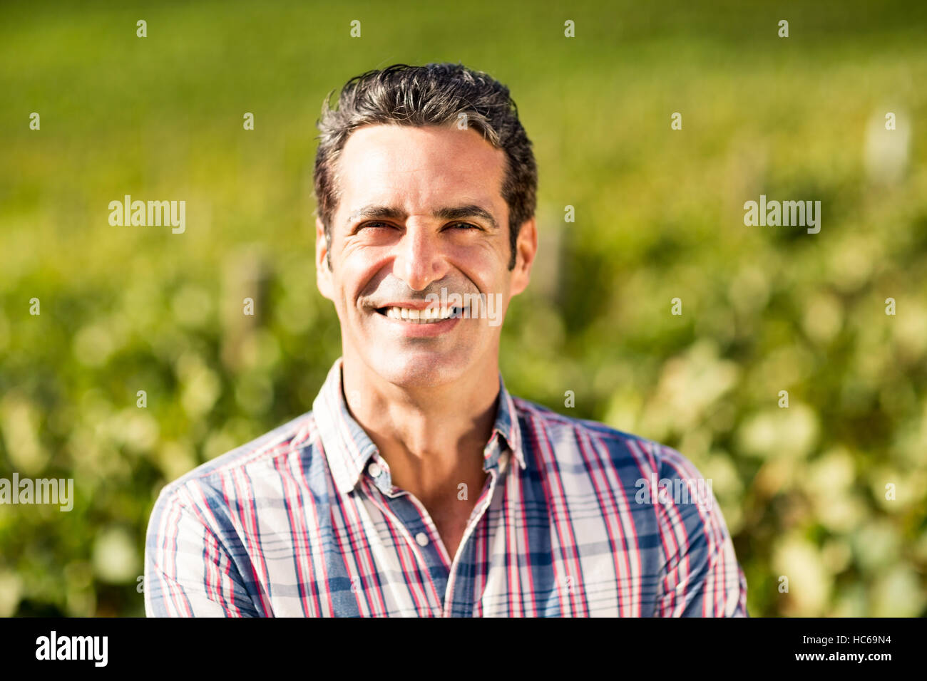 Portrait of smiling male vintner Stock Photo - Alamy