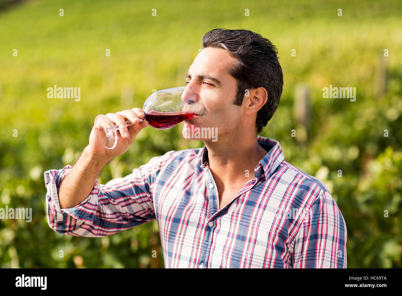 Male vintner having wine Stock Photo - Alamy