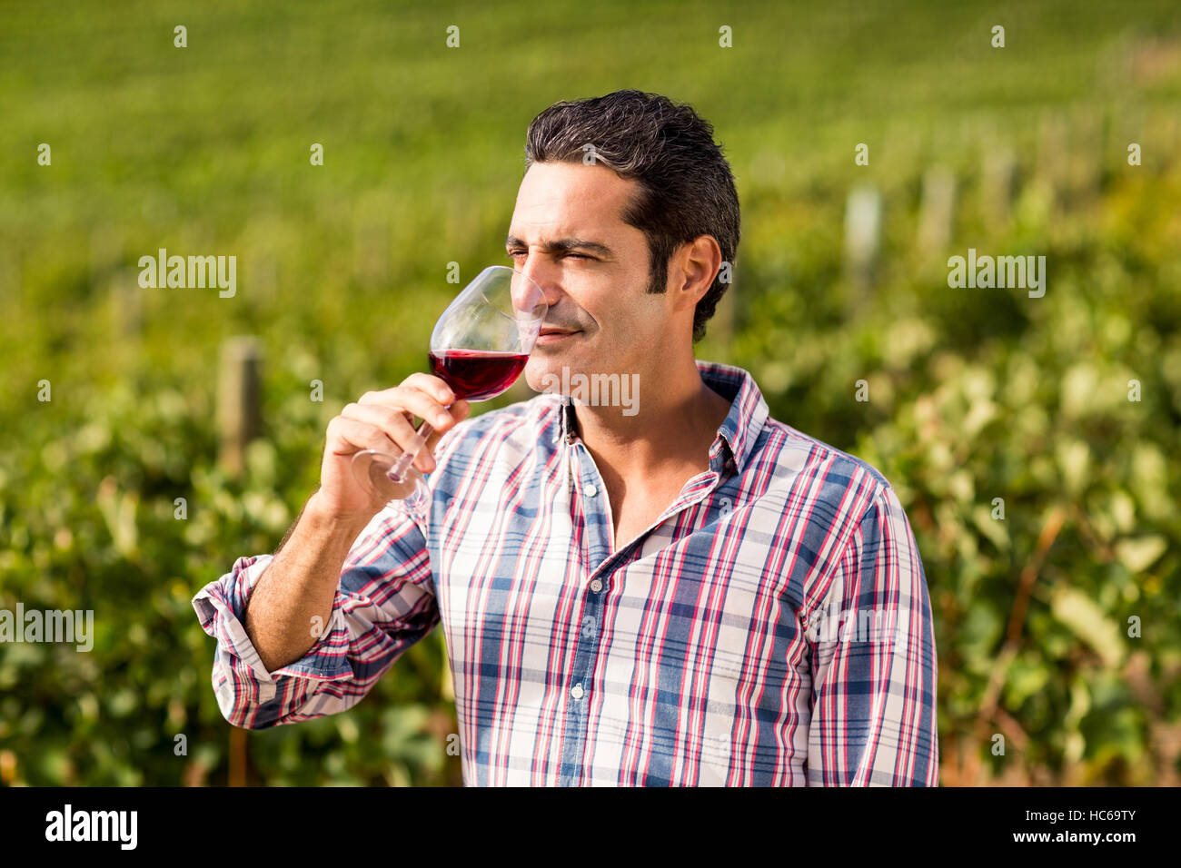 Male vintner having wine Stock Photo - Alamy
