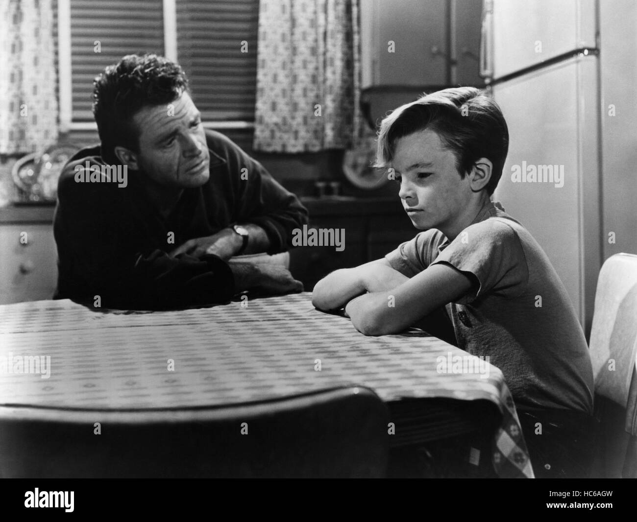 THE SILENT CALL, David McLean, Roger Mobley, 1961, (c) 20th Century Fox ...