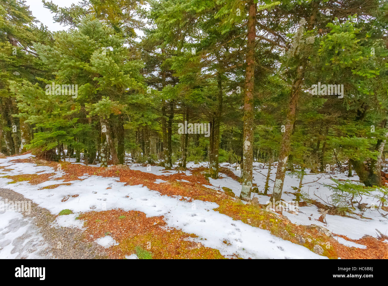 Beautiful snowy landscape winter hi-res stock photography and images ...