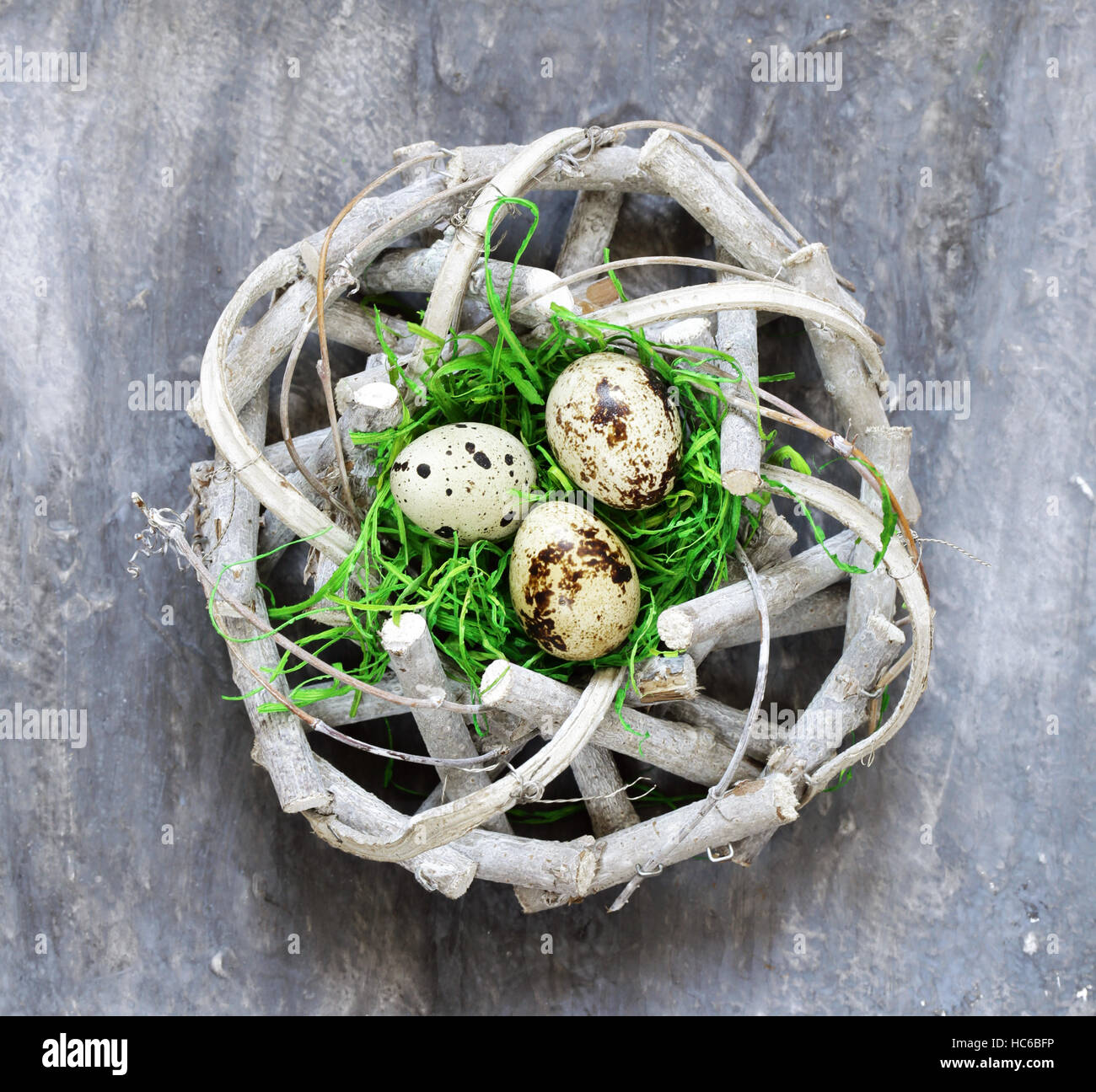 Wicker nest of twigs and quail eggs on a gray background, symbol of ...