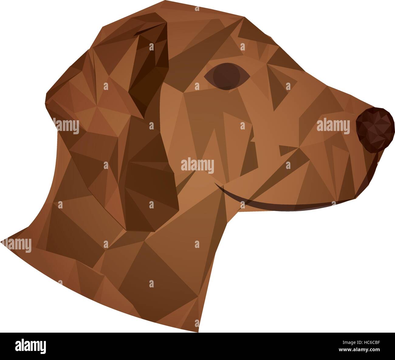 Polygonal dog icon. Animal nature life and fauna theme. Isolated design ...