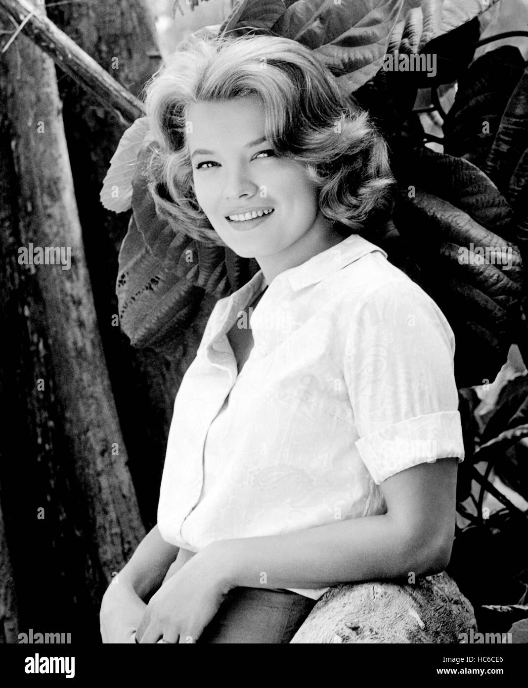 THE SPIRAL ROAD, Gena Rowlands, 1962 Stock Photo - Alamy