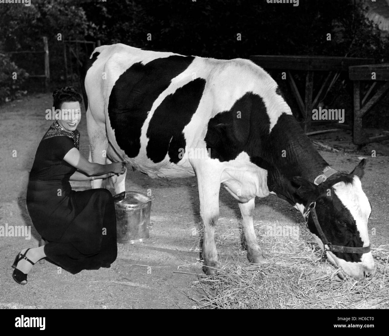 THE SPIDER WOMAN STRIKES BACK, Gale Sondergaard milking Bessie the ...
