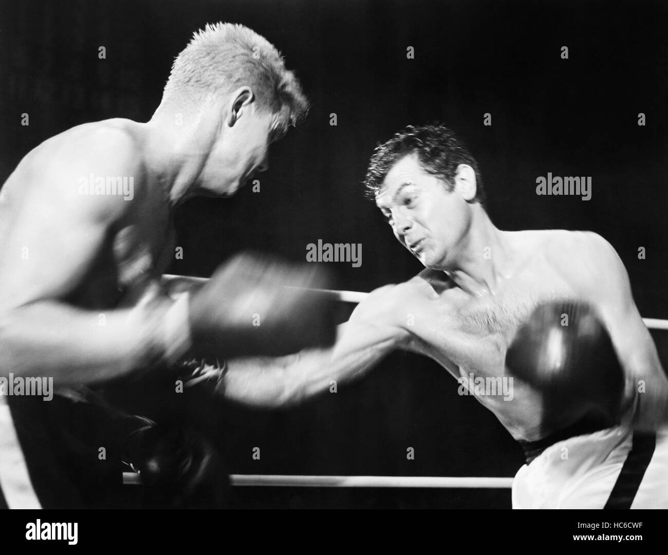 THE SQUARE JUNGLE, from left: John Day, Tony Curtis, 1955 Stock Photo ...