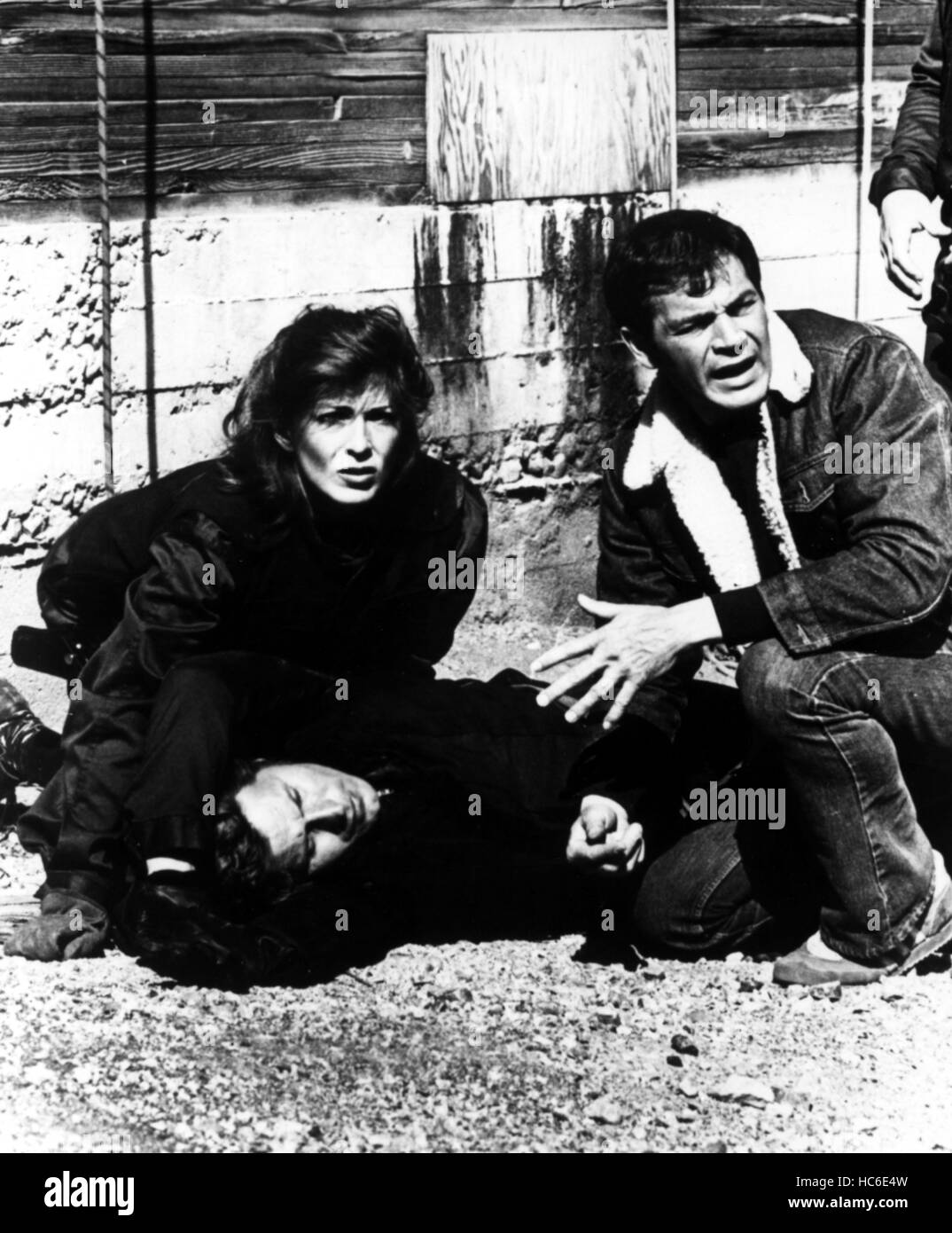 STUNTS, Fiona Lewis, Robert Forster, 1977 Stock Photo - Alamy