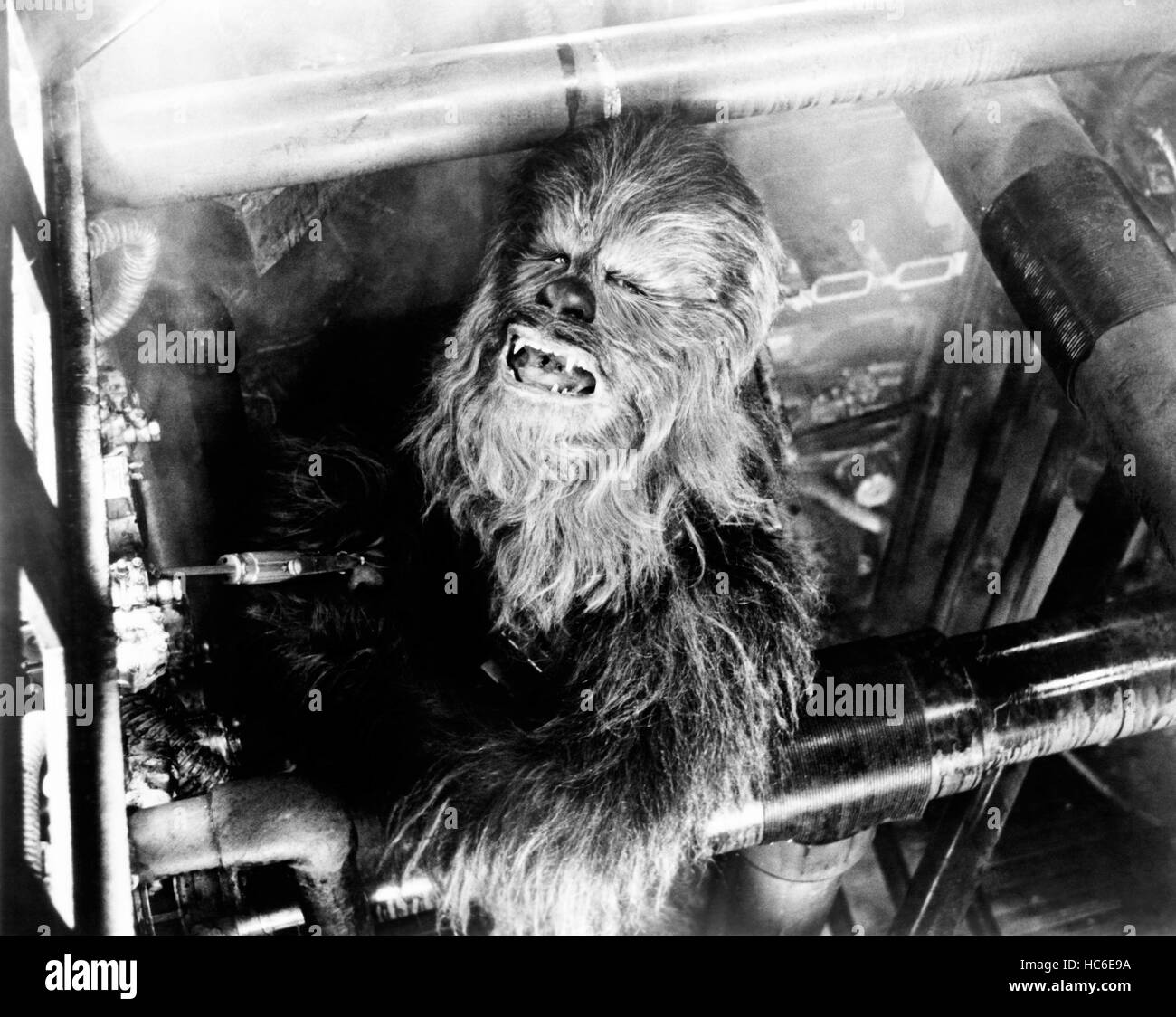 STAR WARS: EPISODE V- THE EMPIRE STRIKES BACK, Peter Mayhew (as ...