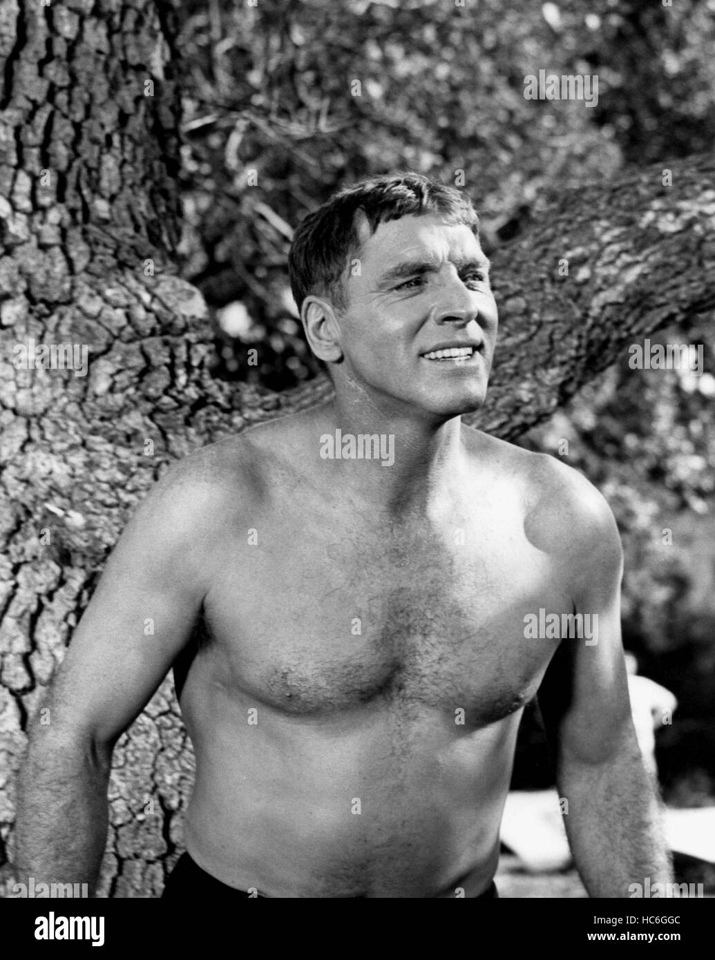 THE SWIMMER, Burt Lancaster, 1968 Stock Photo - Alamy