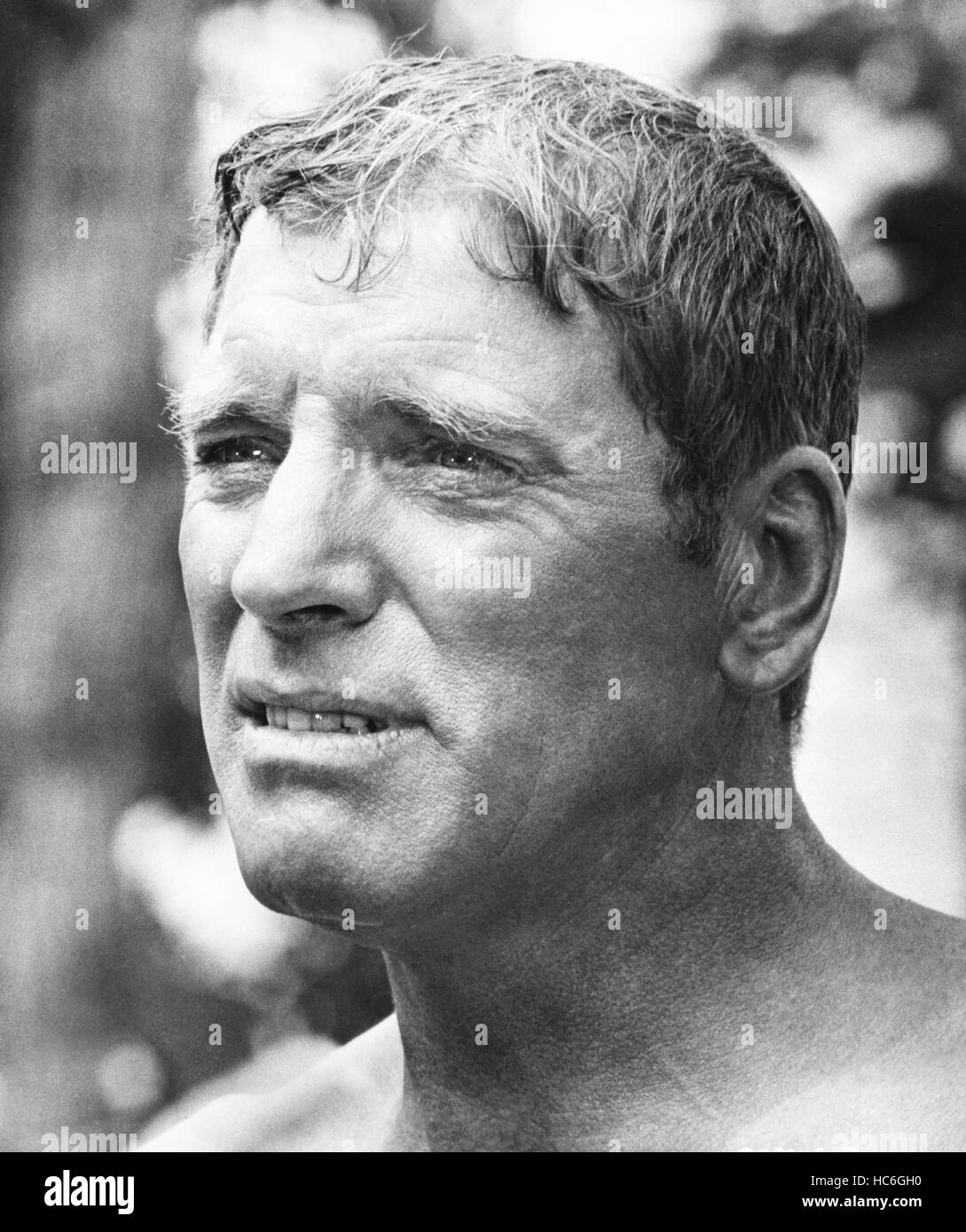 Swimmer burt lancaster 1968 hi-res stock photography and images - Alamy