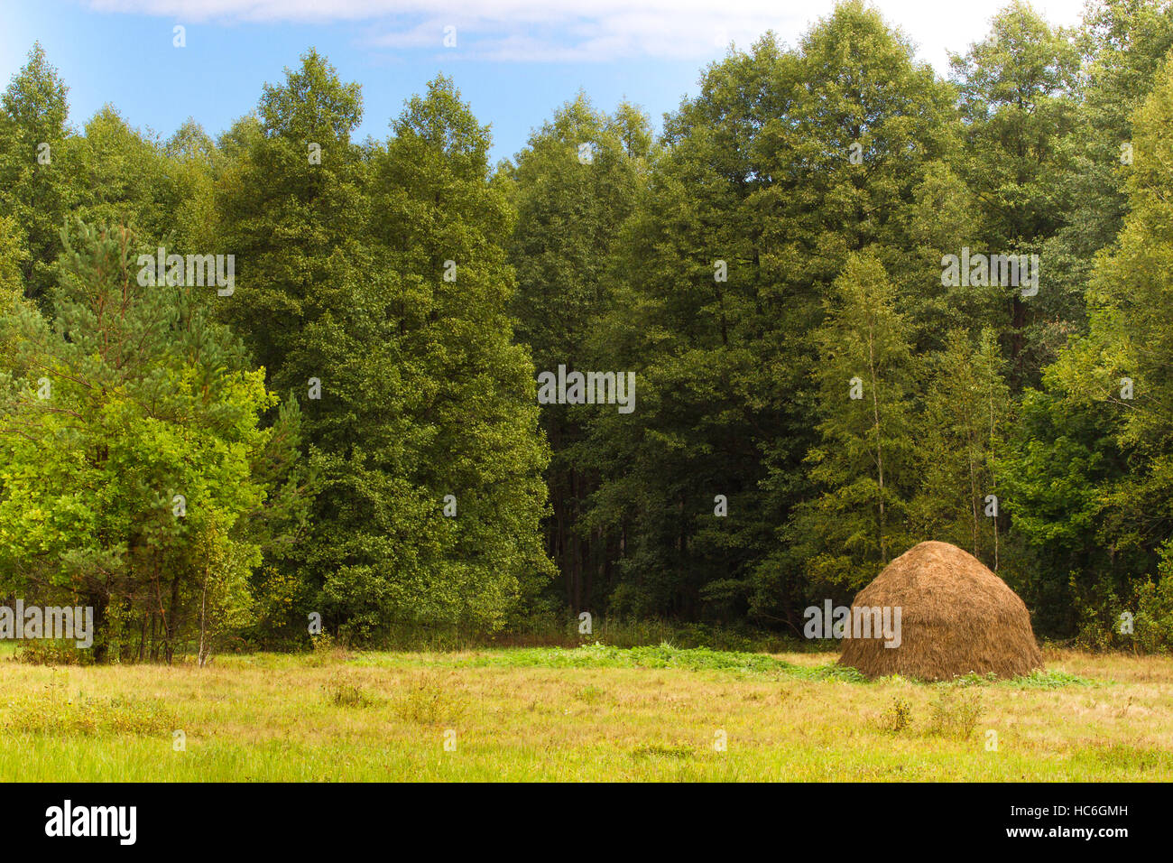 Haystack on background of deciduous forests and field and grass ...