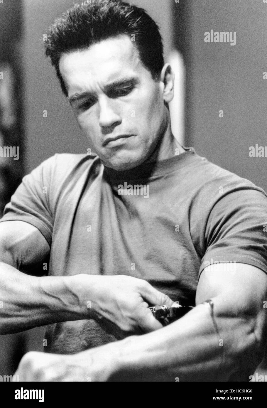 Arnold Schwarzenegger 1991 Best Arnold Schwarzenegger Movies