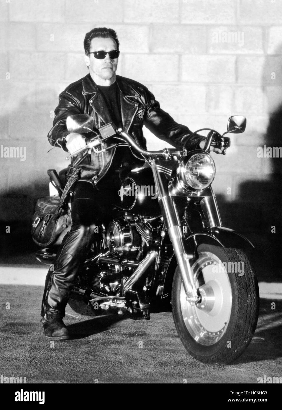 TERMINATOR 2: JUDGEMENT DAY, Arnold Schwarzenegger, 1991, ©TriStar ...