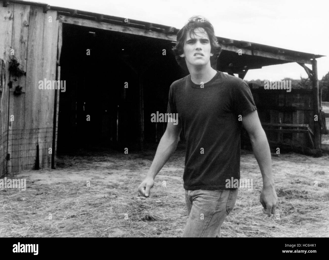 TEX, Matt Dillon, 1982, © Buena Vista/courtesy Everett Collection Stock ...