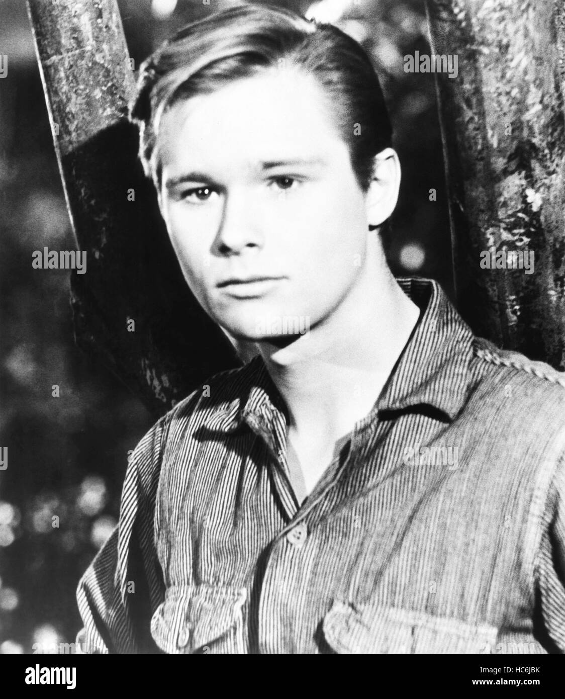 THOSE CALLOWAYS, Brandon De Wilde, 1965 Stock Photo - Alamy