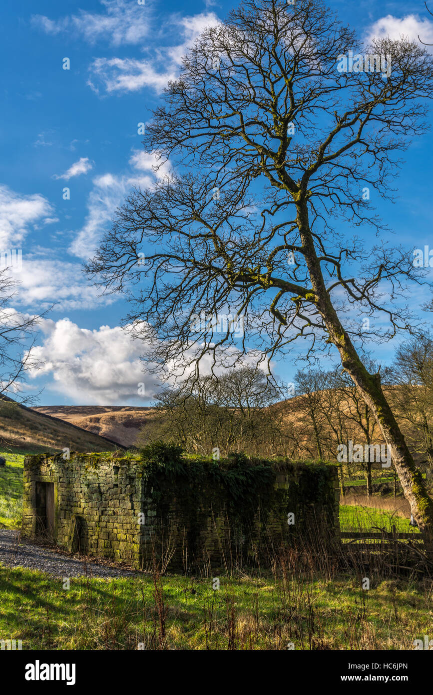Stone shelter for sheep on marsden moor near the Eastergate bridge ...