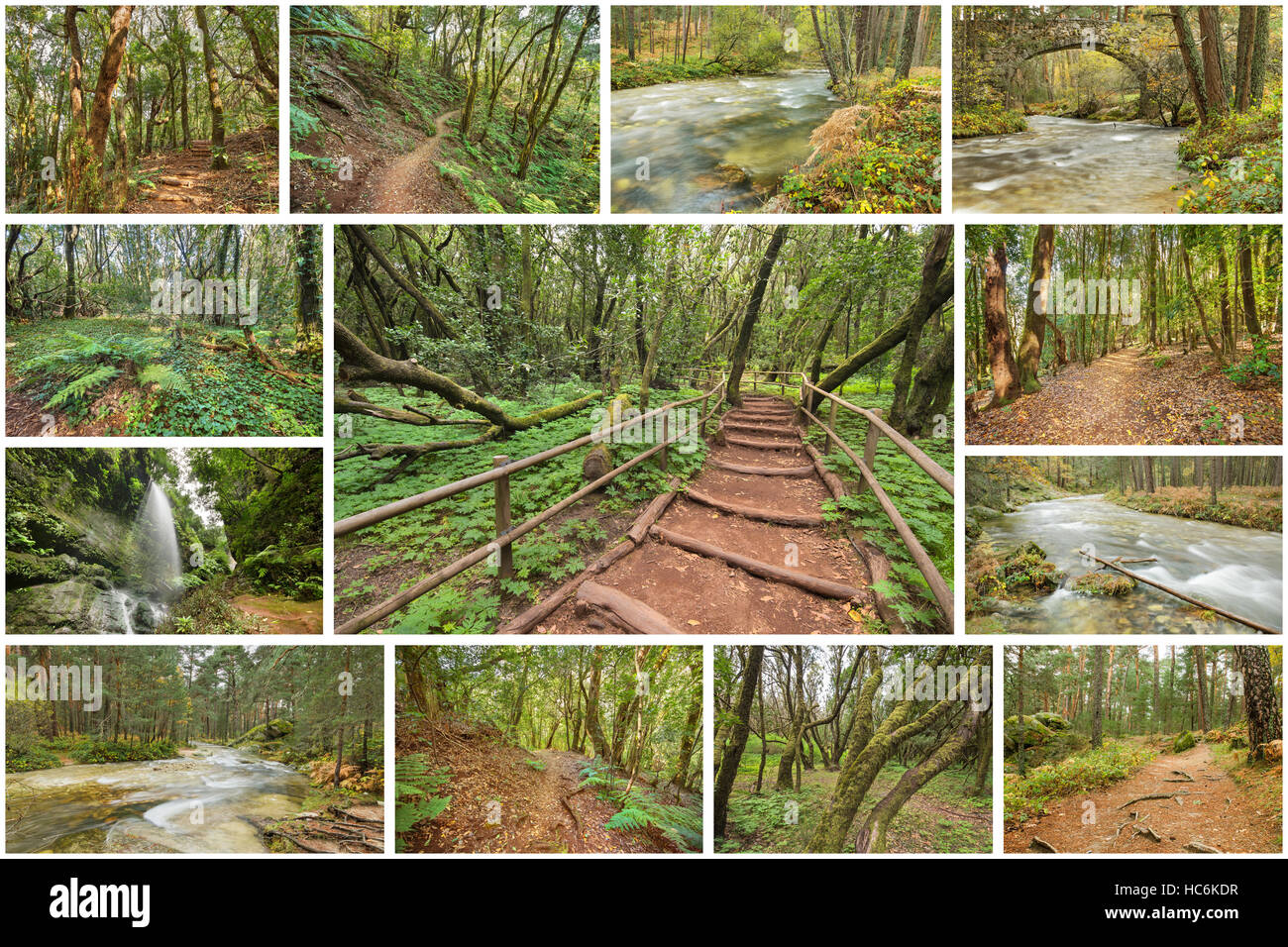 Beutiful set collage of rainforest pictures Stock Photo - Alamy