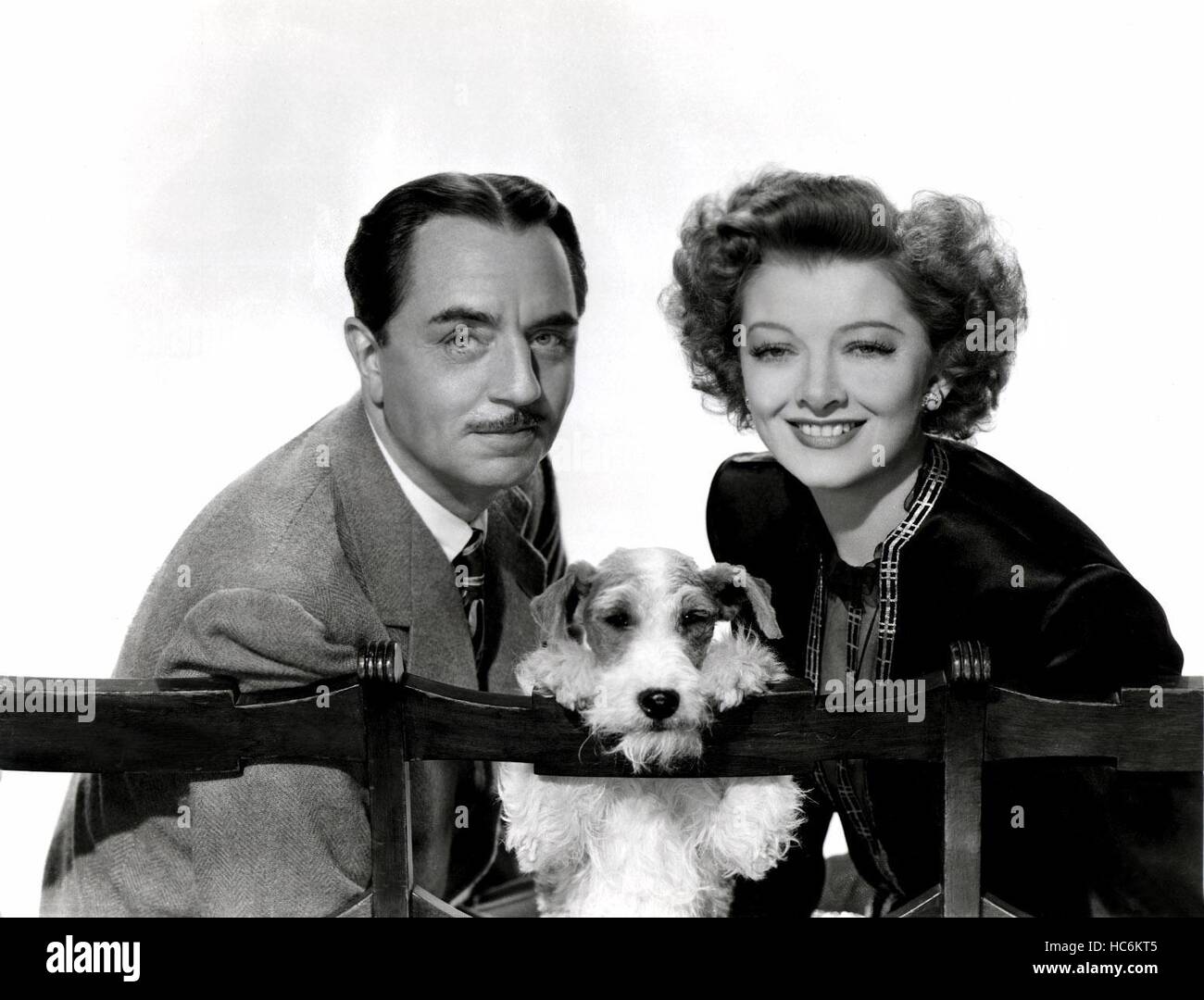 THE THIN MAN GOES HOME, William Powell, Asta, Myrna Loy, 1945 Stock ...