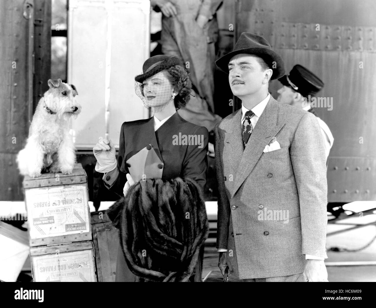 THE THIN MAN GOES HOME, Asta the dog, Myrna Loy, William Powell, 1944 ...