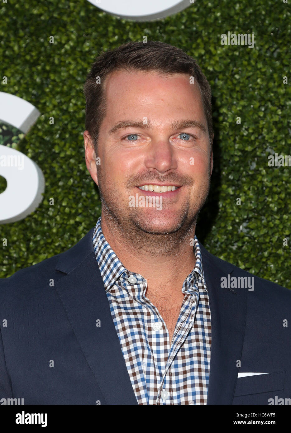 CBS, CW, Showtime Summer TCA Party - Arrivals Featuring: Chris O ...