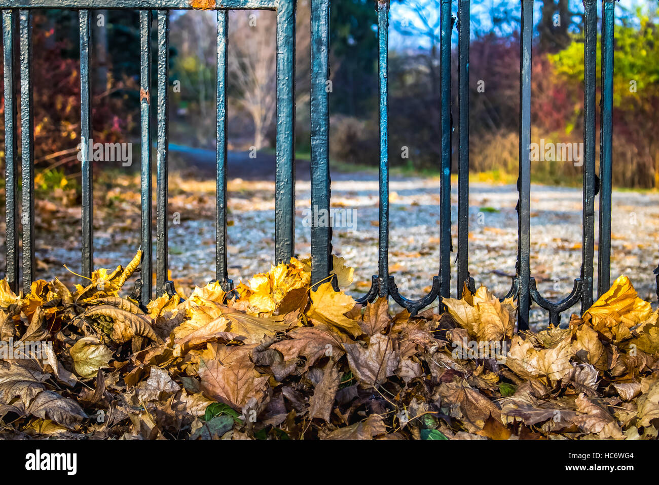 Leaves at the base of a gate Stock Photo - Alamy