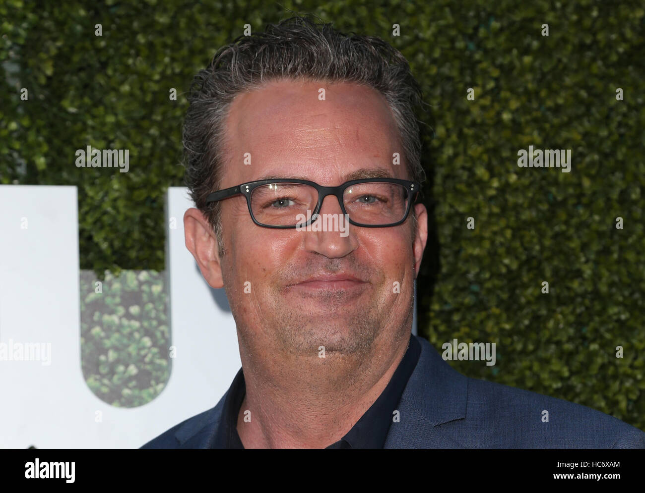 CBS, CW, Showtime Summer TCA Party - Arrivals Featuring: Matthew Perry ...