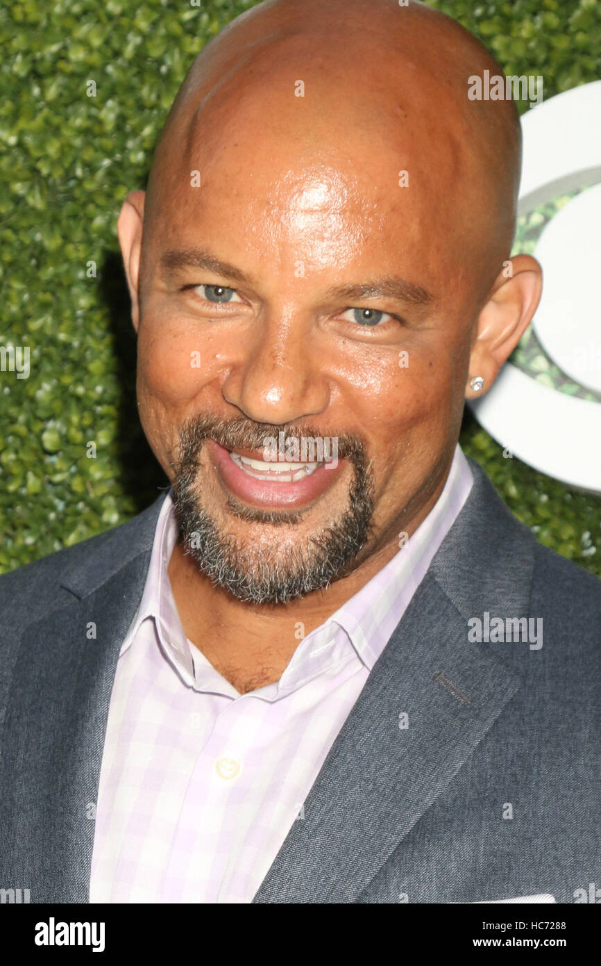 CBS, CW, Showtime Summer 2016 TCA Party at the Pacific Design Center on ...