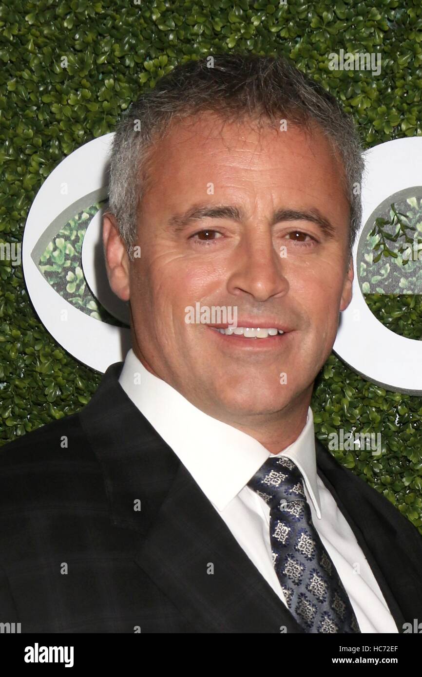 CBS, CW, Showtime Summer 2016 TCA Party at the Pacific Design Center on ...