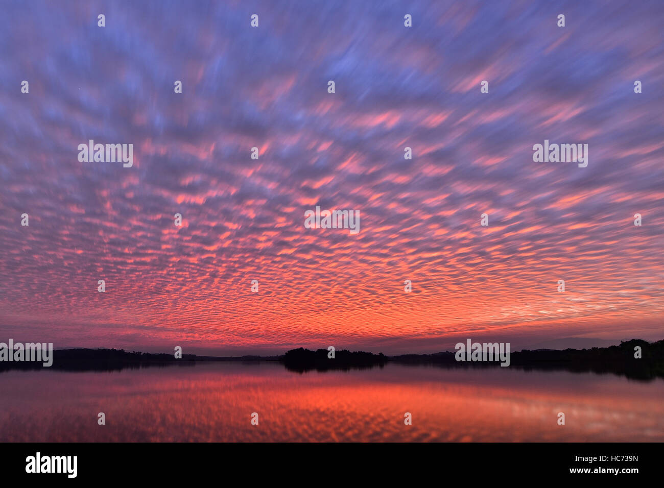 Beautiful sunset sky with colorful altocumulus clouds with reflection ...