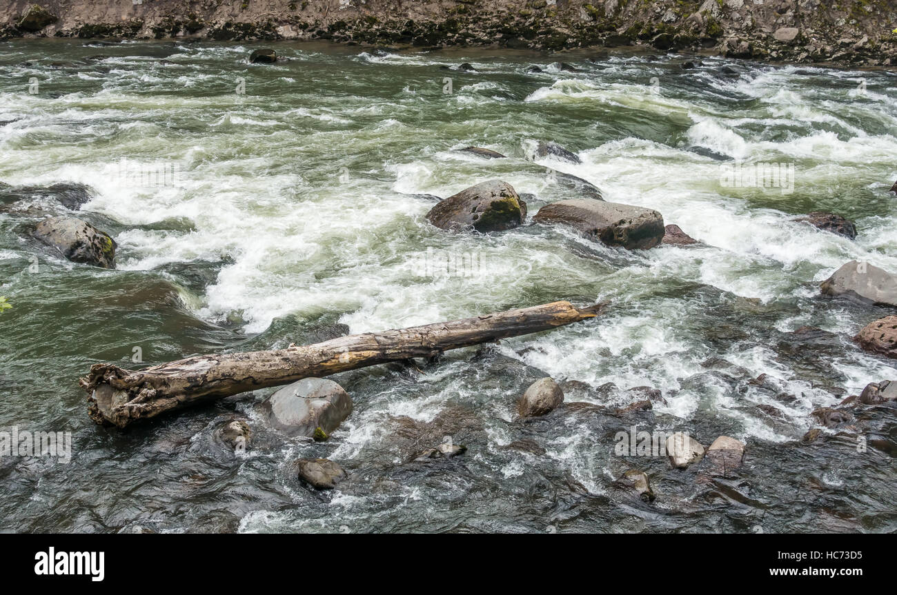 The Snoqualmie River flows past rocks creating white water Stock Photo ...