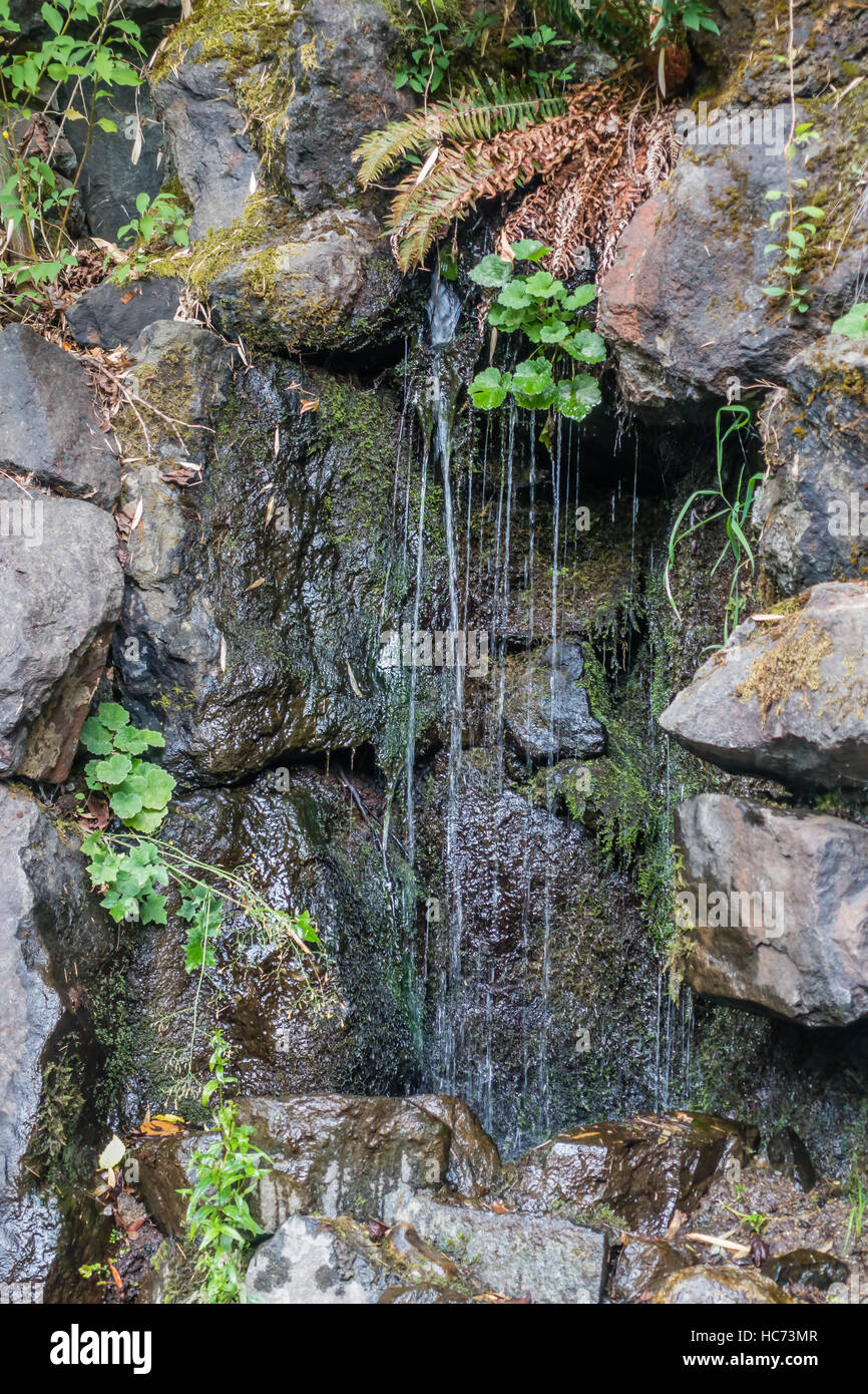 Streams small waterfall hi-res stock photography and images - Alamy