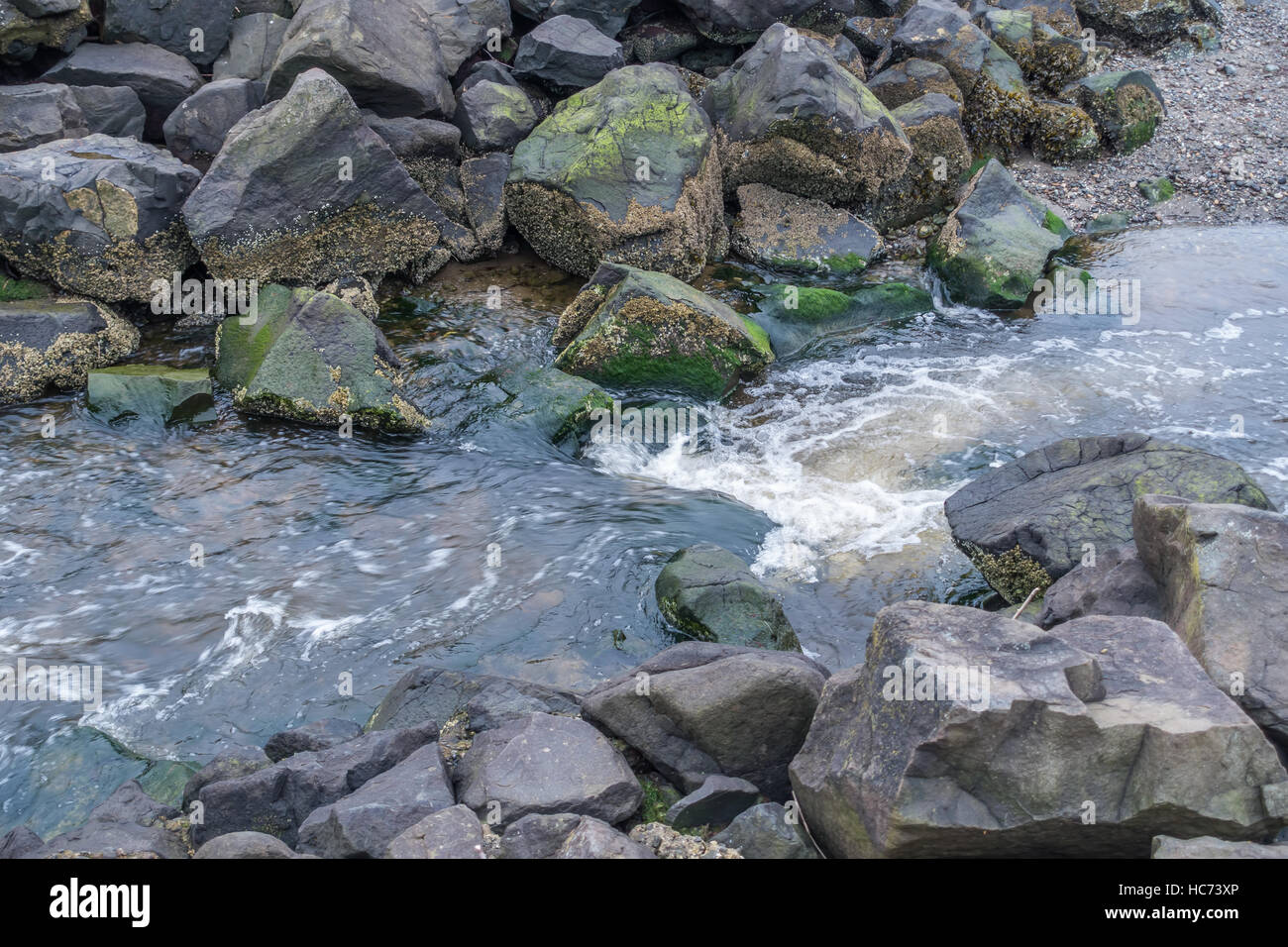 A stream flows past boulders on its way to the Puget Sound in Saltwater ...