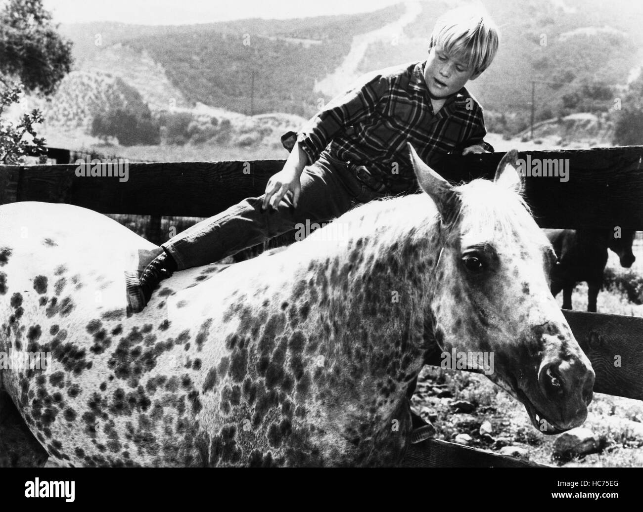 SMITH!, Christopher Shea, 1969 Stock Photo - Alamy