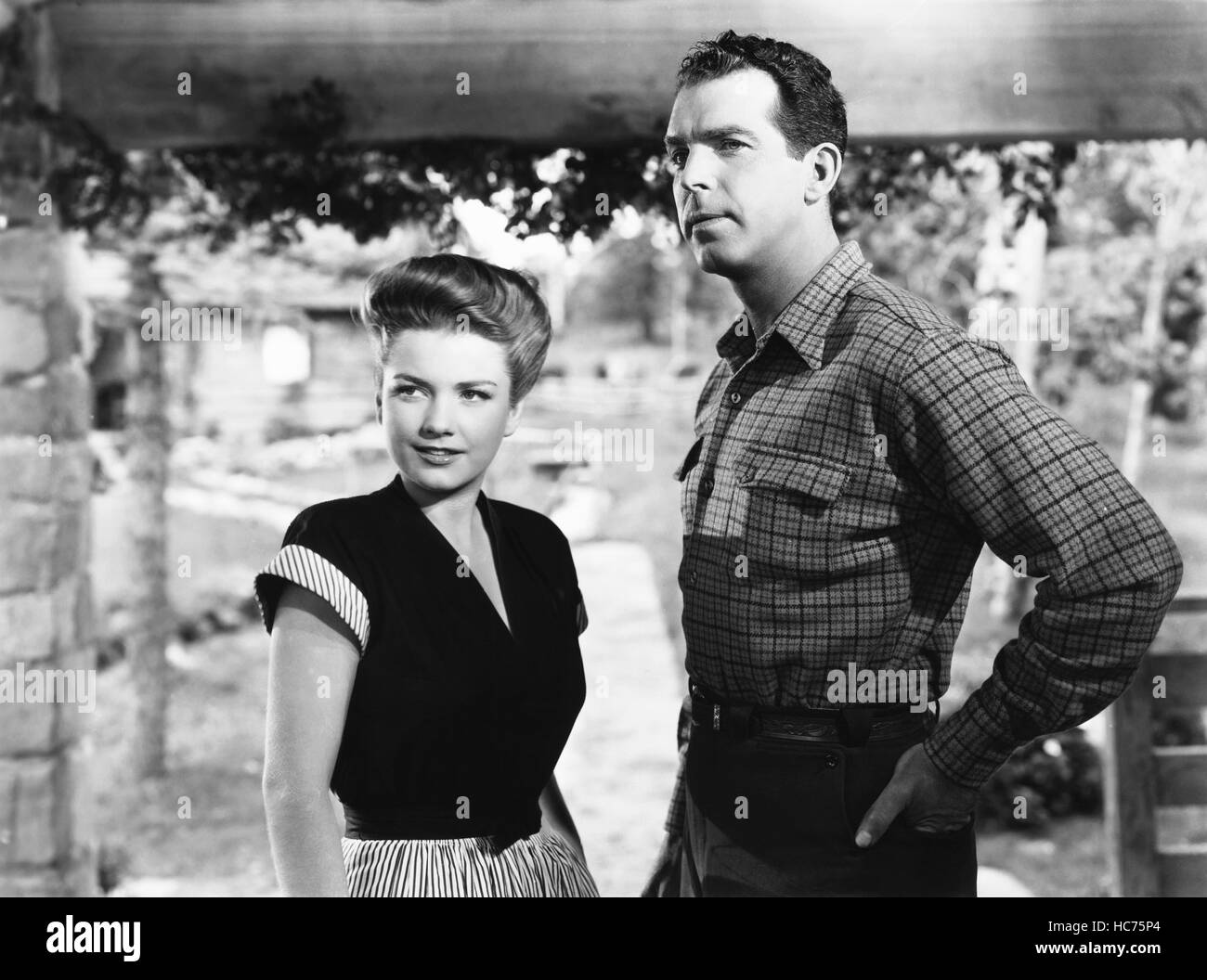 SMOKY, from left: Anne Baxter, Fred MacMurray, 1946, TM & Copyright © 20th Century Fox Film Corp ...