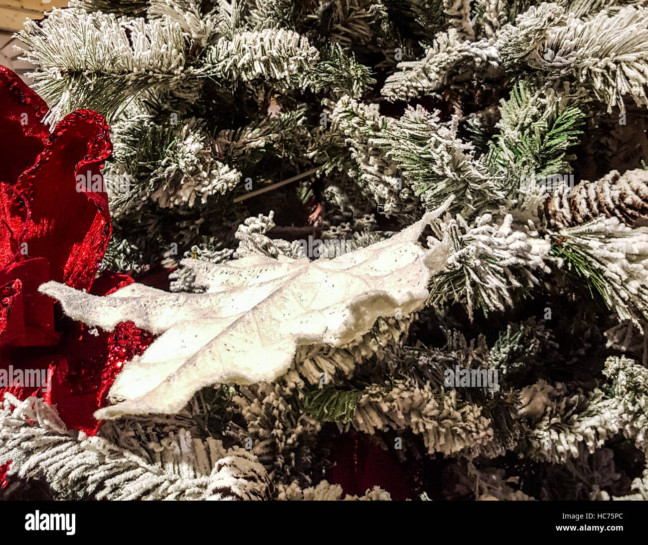 Fir tree ball hi-res stock photography and images - Alamy