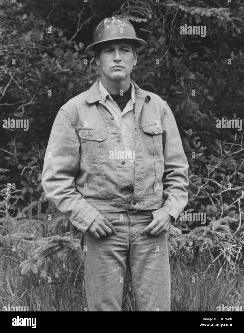 SOMETIMES A GREAT NOTION, Paul Newman, 1971 Stock Photo - Alamy