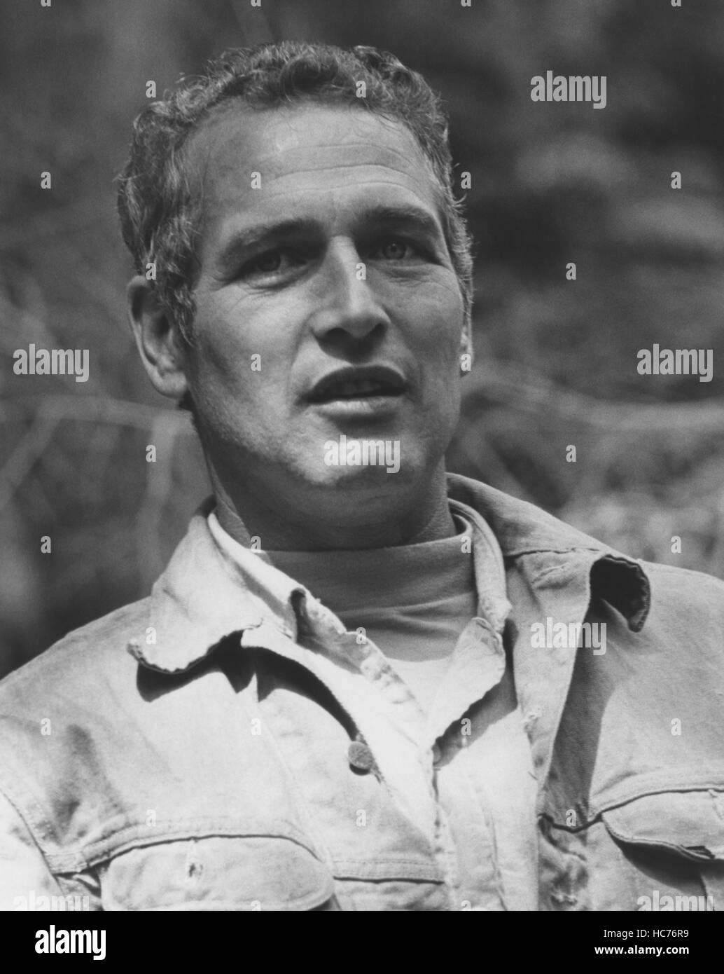 SOMETIMES A GREAT NOTION, Paul Newman, 1971 Stock Photo - Alamy