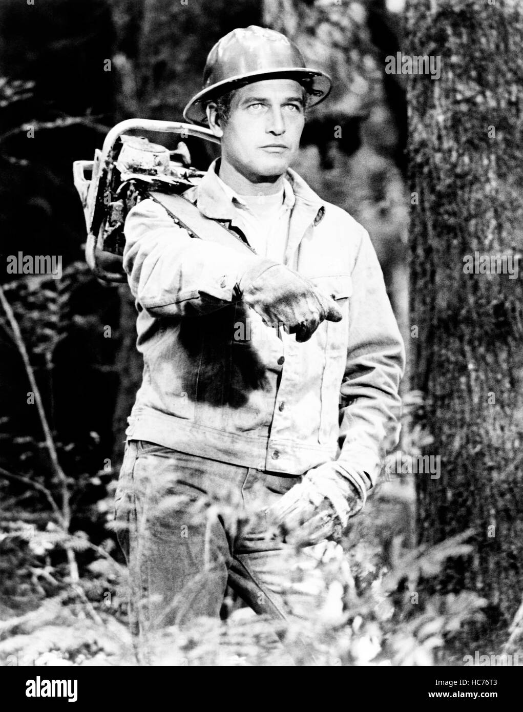 SOMETIMES A GREAT NOTION, Paul Newman, 1971 Stock Photo - Alamy