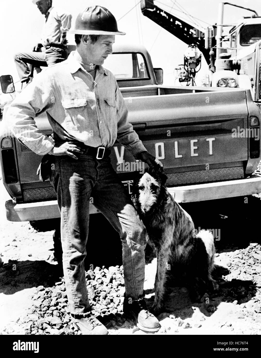 SOMETIMES A GREAT NOTION, Paul Newman, 1971 Stock Photo - Alamy