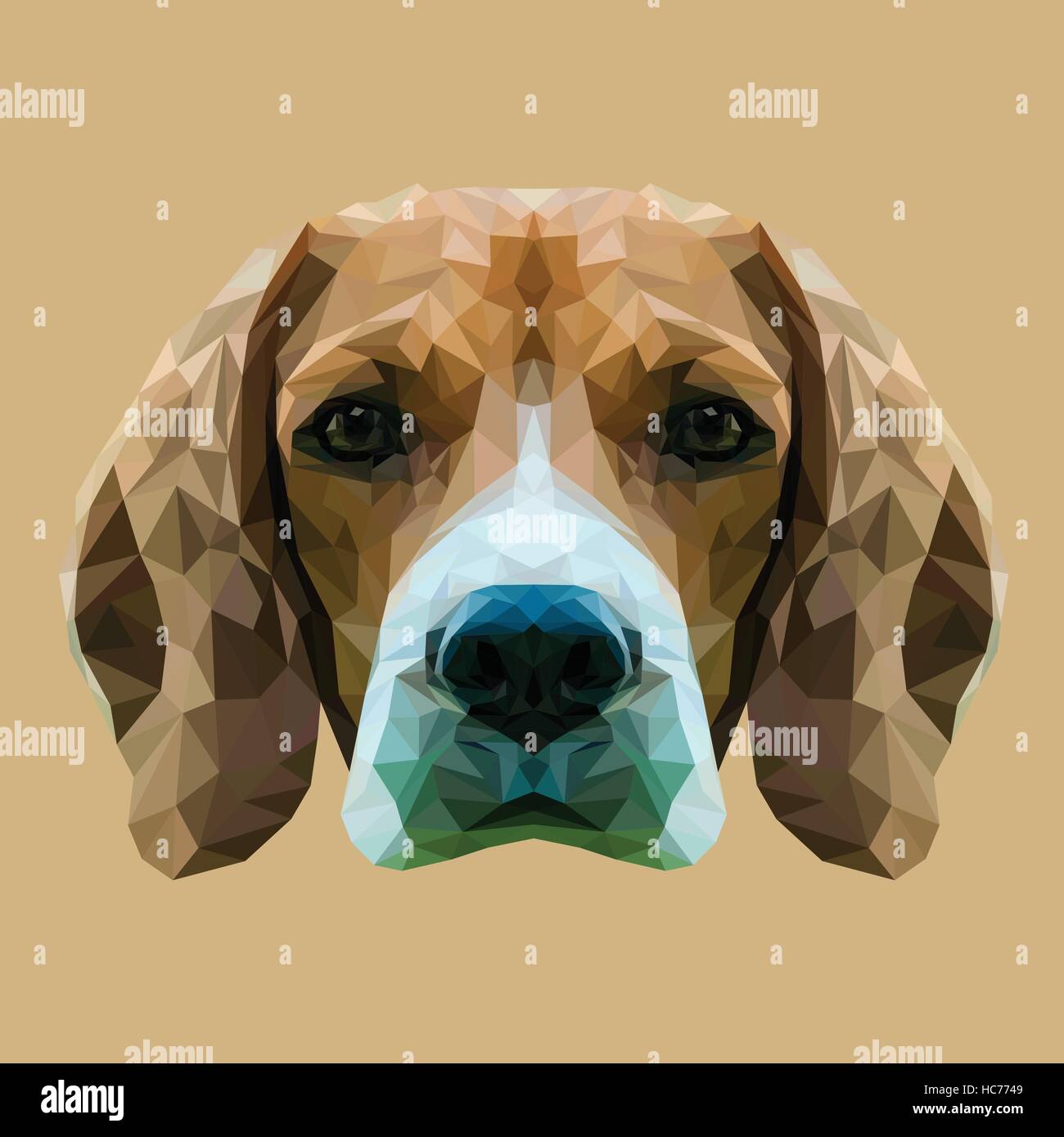 Beagle dog low poly design. Triangle vector illustration Stock Vector ...