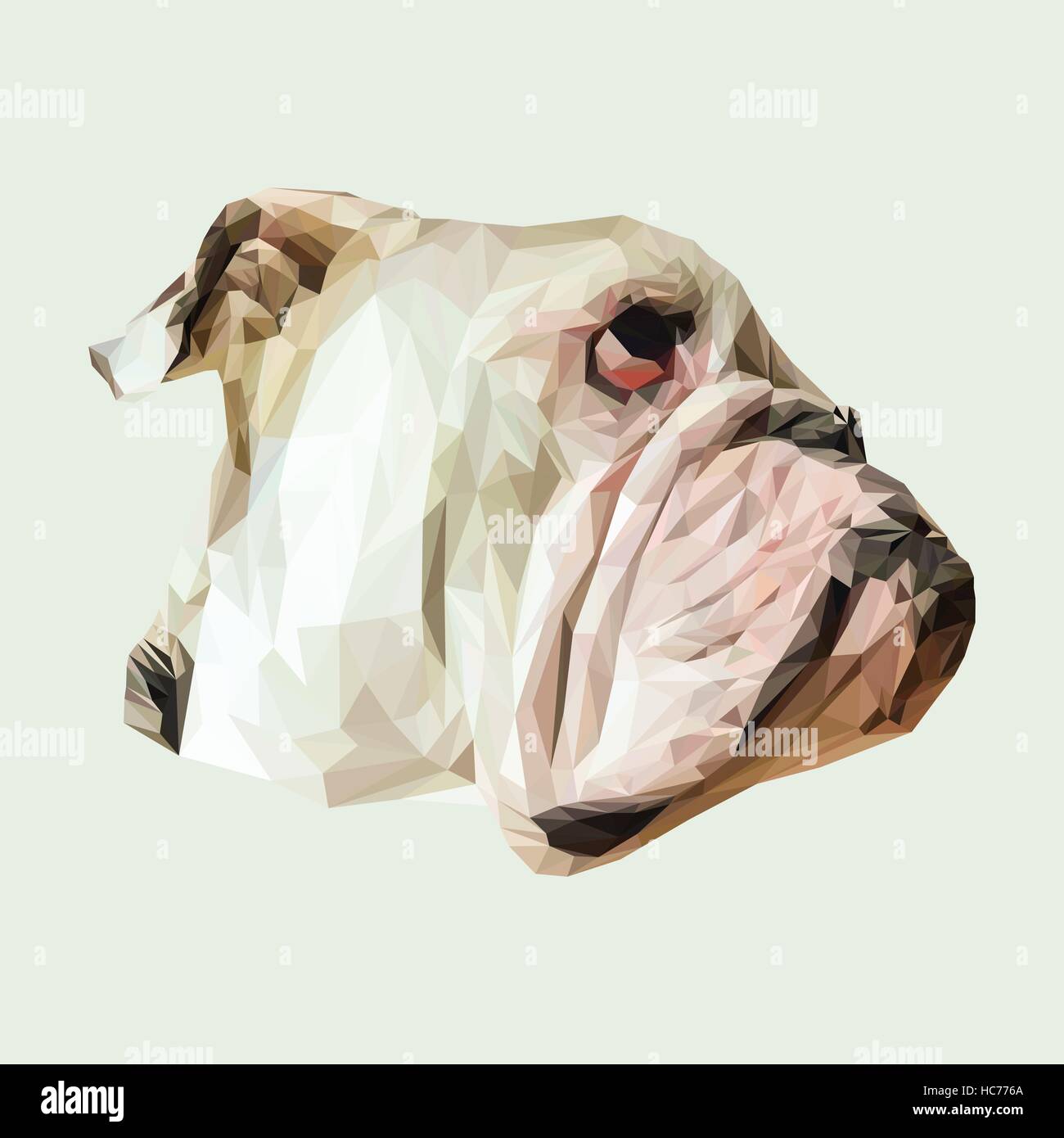 English Bulldog dog low poly design. Triangle vector illustration Stock ...