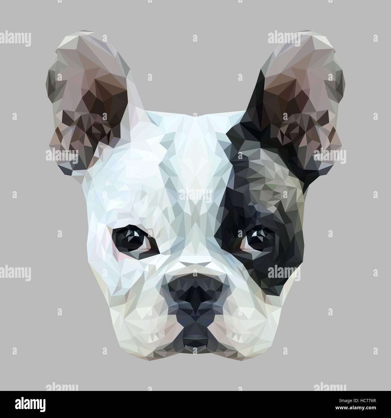 Cartoon animal illustration vecto hi-res stock photography and images ...