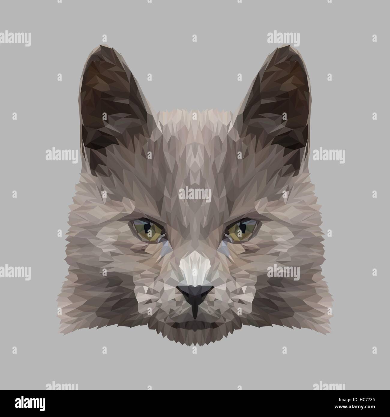 Gray cat low poly design. Triangle vector illustration Stock Vector ...