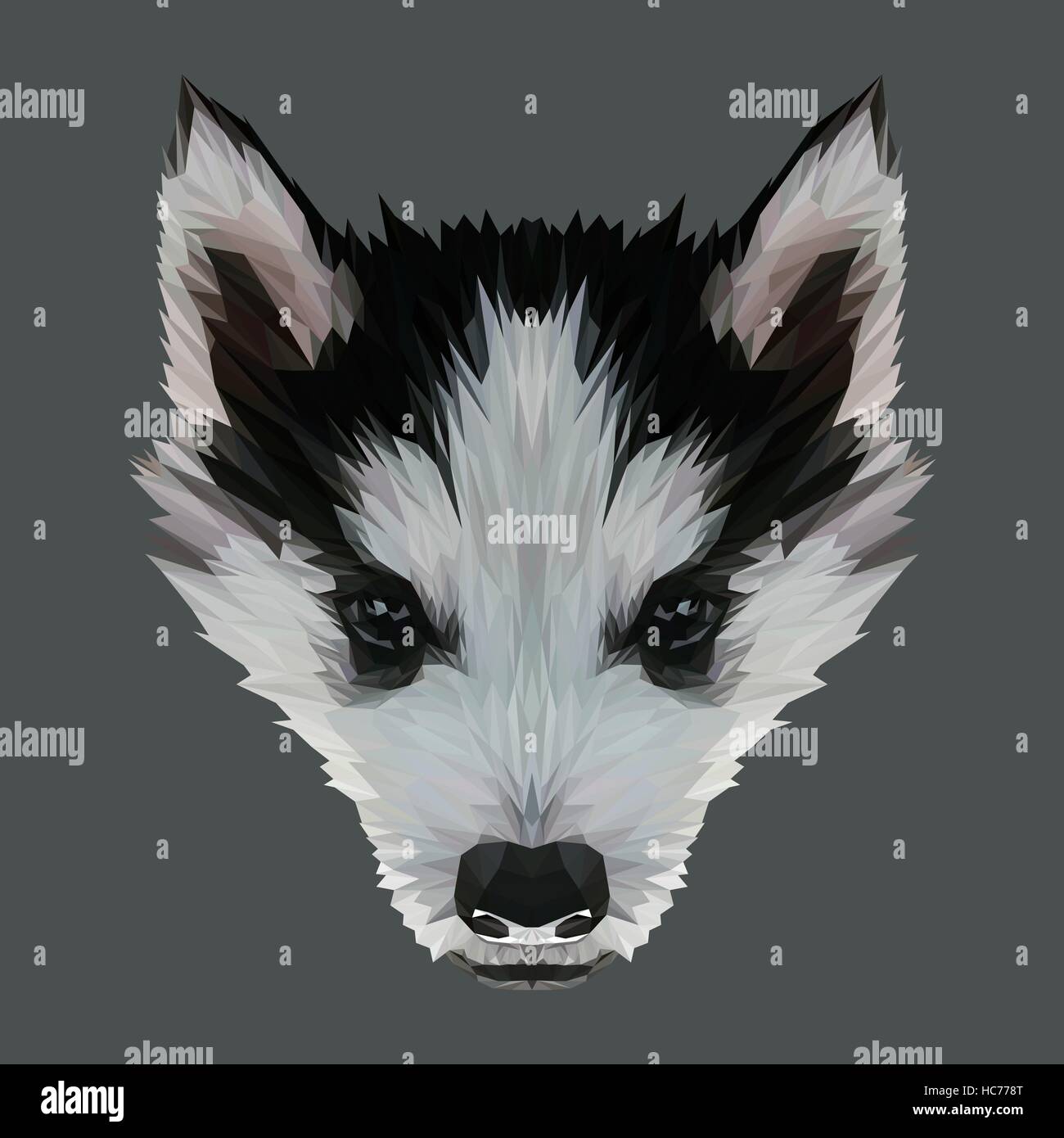Husky puppy dog low poly design. Triangle vector illustration Stock ...
