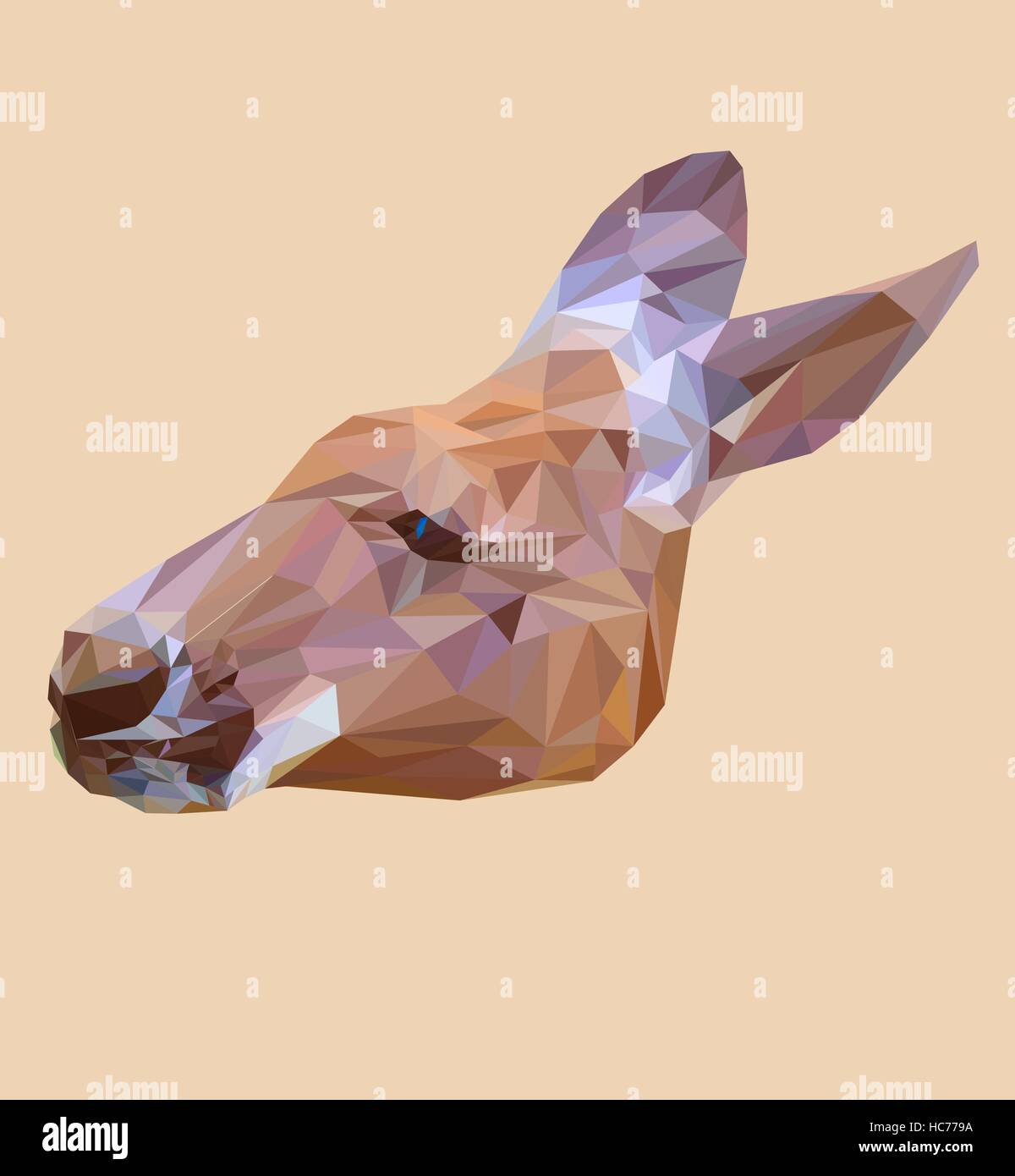 Kangaroo low poly design. Triangle vector illustration Stock Vector ...