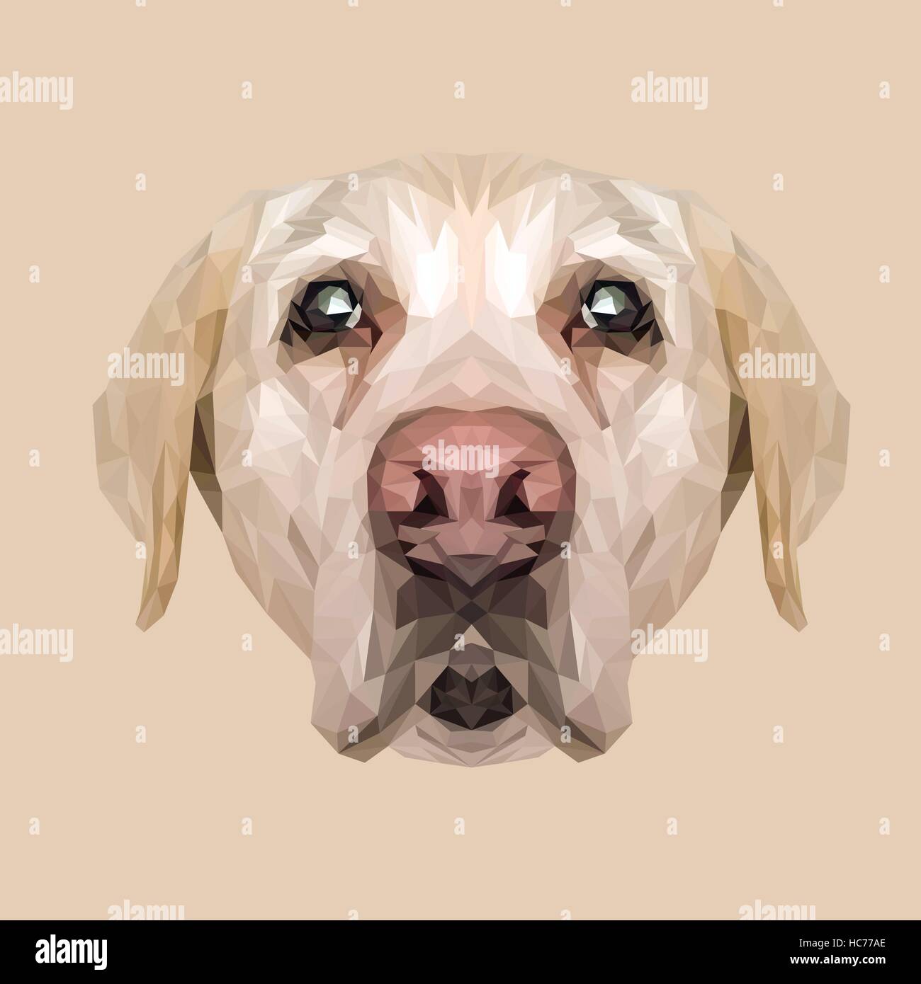 Labrador dog low poly design. Triangle vector illustration Stock Vector ...