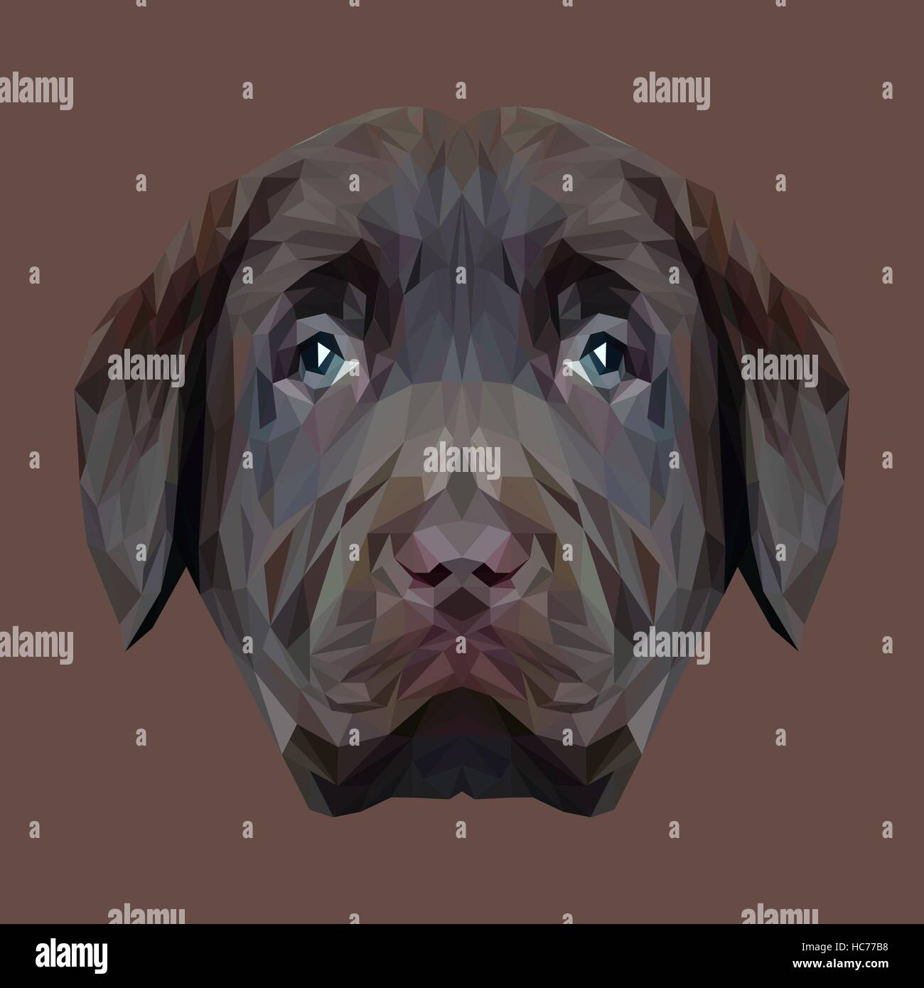 Labrador puppy dog low poly design. Triangle vector illustration Stock ...
